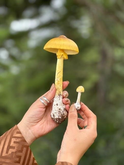 Oregon Mushroom Guide: Species, Foraging, and More